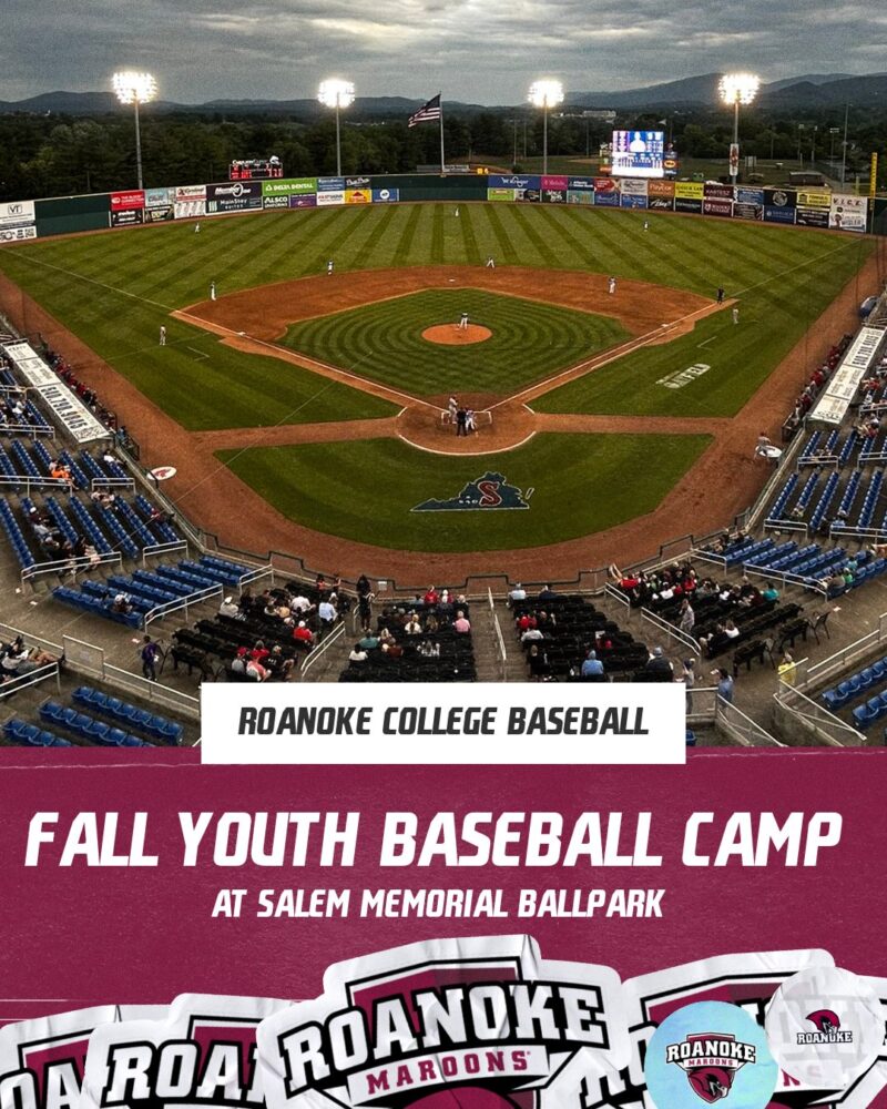 Roanoke Baseball Camps | Brett Kaminski
