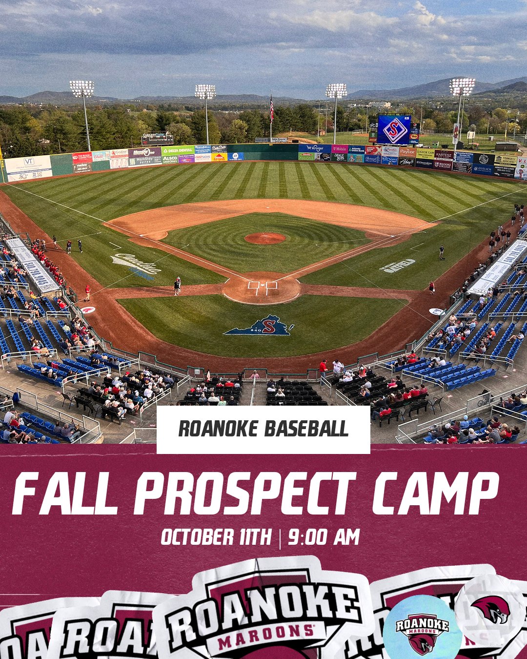Roanoke Baseball Camps | Brett Kaminski